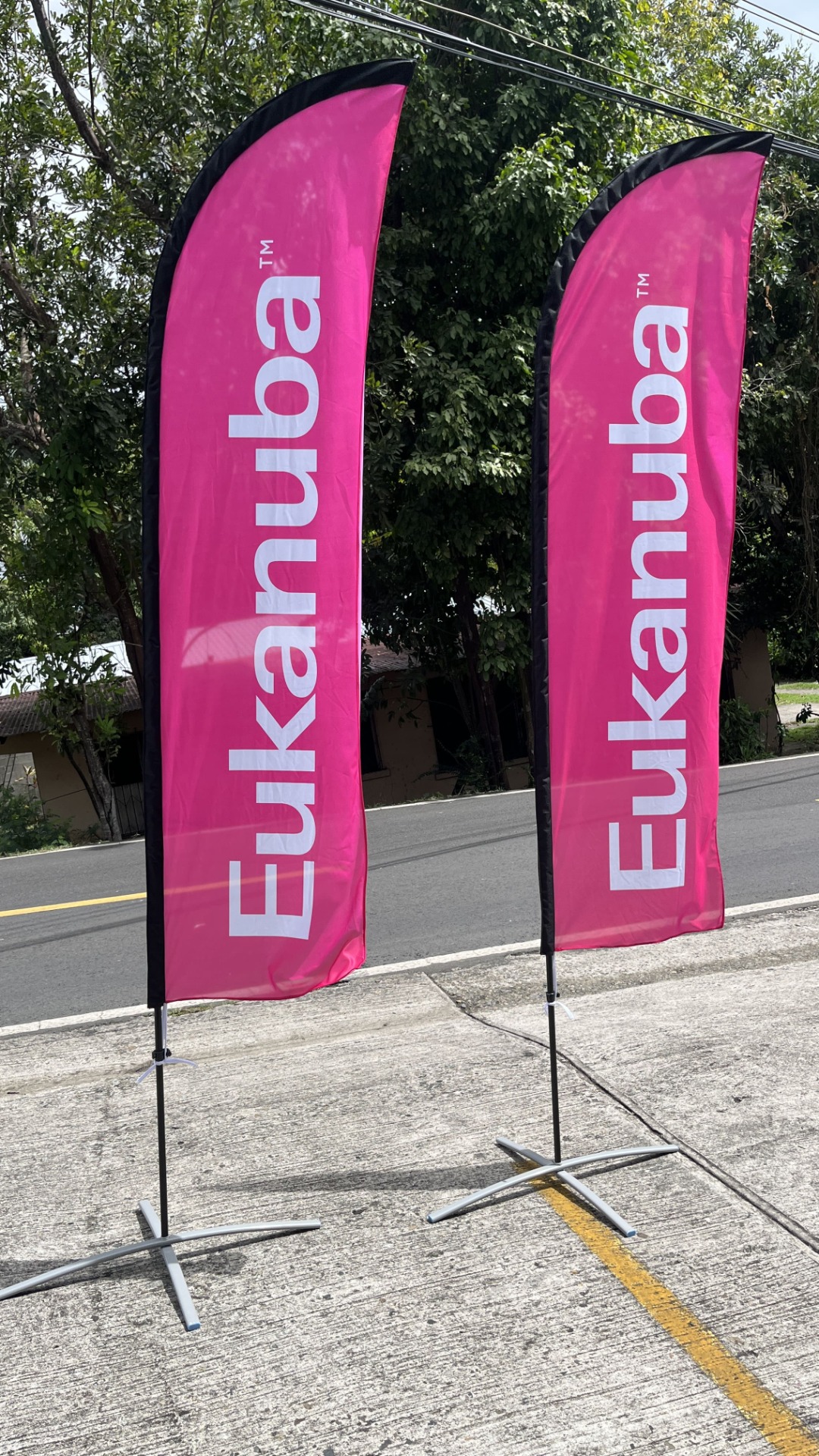 PROMO: 2 banderolas publicitarias